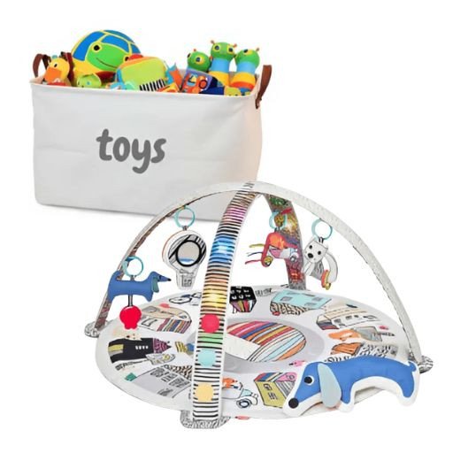 The Skip Hop Baby Play Package rental in San Antonio by Traveling Baby