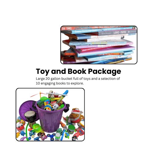 Toy and Book Package rental in San Antonio by Traveling Baby